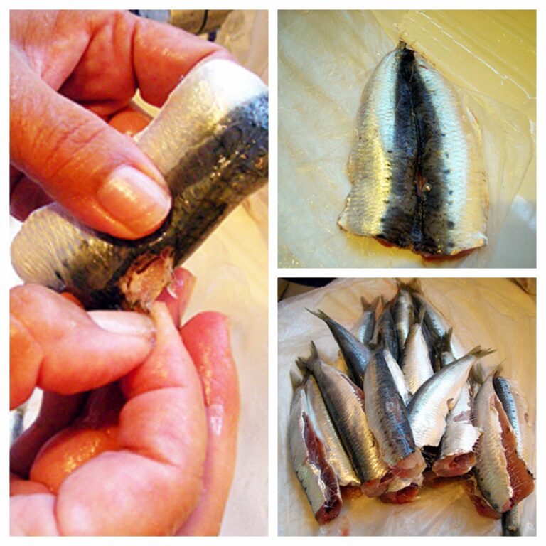 Comment faire les filets de sardines - La recette facile par Toqués 2 ...