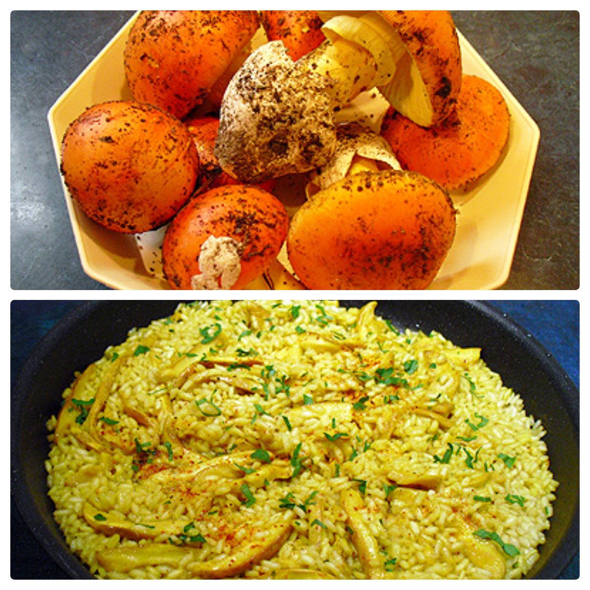 Comment préparer les oronges - La recette facile par Toqués 2 Cuisine