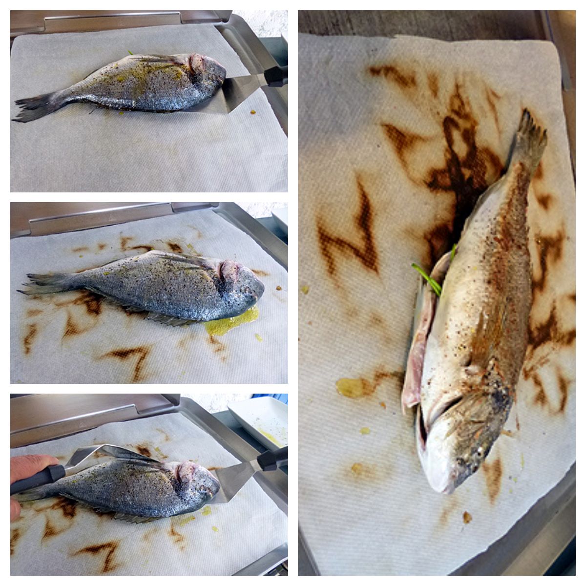 Dorade grillée à l'aneth - La recette facile par Toqués 2 Cuisine