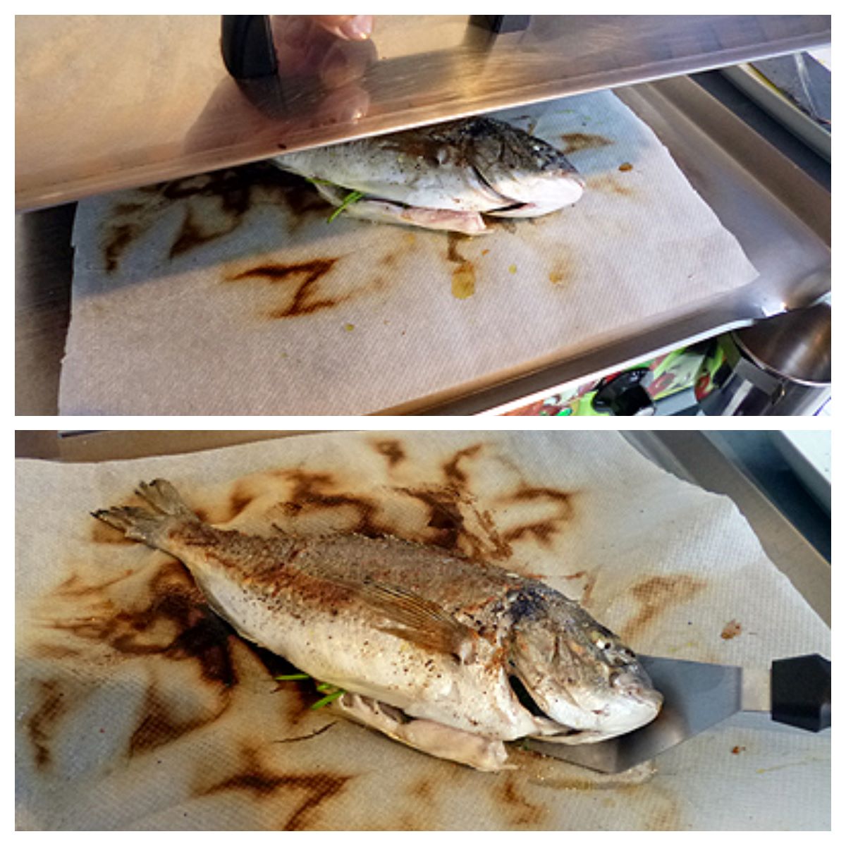 Dorade grillée à l'aneth - La recette facile par Toqués 2 Cuisine