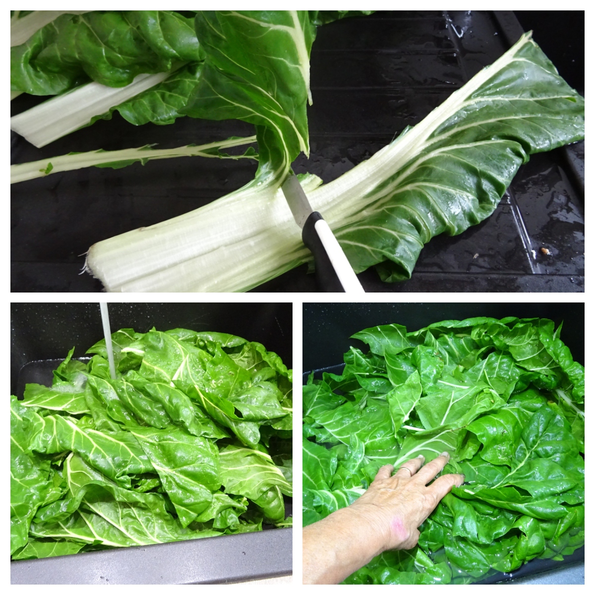 Comment préparer des blettes, bettes ou poirées - La recette facile par ...