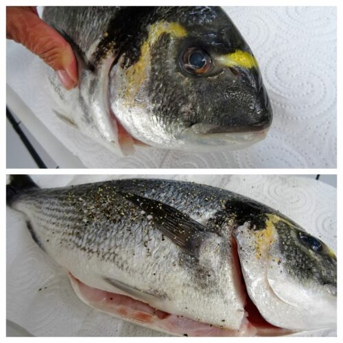 Daurade royale aux poivrons - La recette facile par Toqués 2 Cuisine